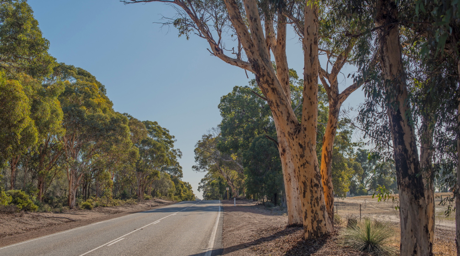 Accessing Healthcare as a Rural Australian - 1800 My Options
